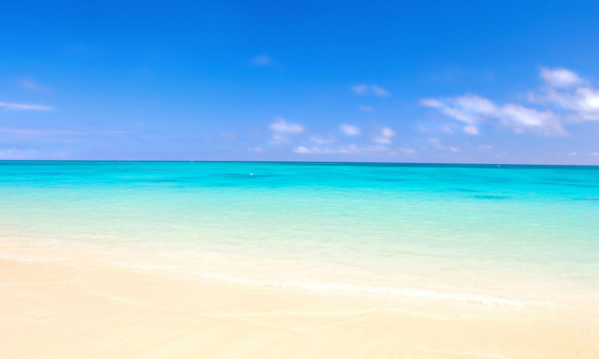 Princess Cruise Cozumel Excursions 2026 | Save 40-60% vs Ship ...